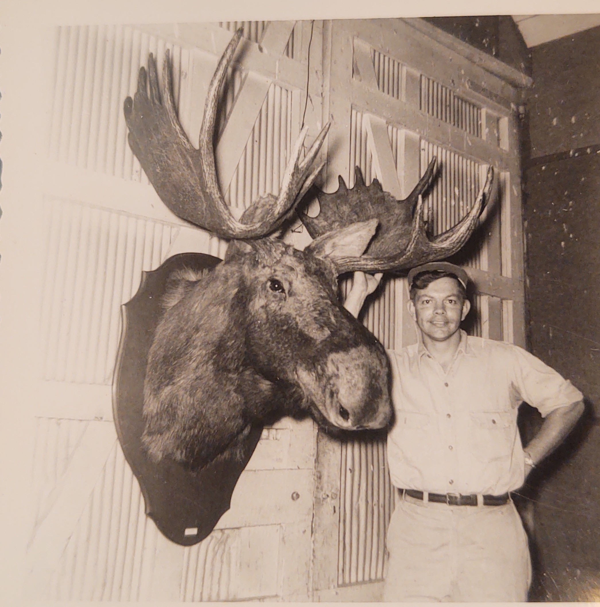 The Gargantuan Praying Moose – The Chimney Rock Chronicle