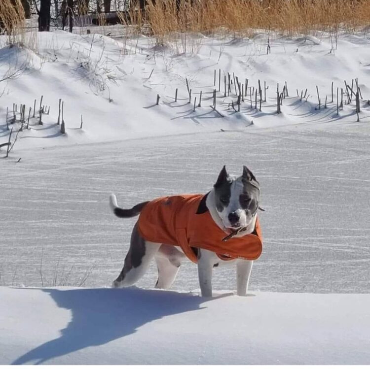 The View From Here – The Chimney Rock Chronicle